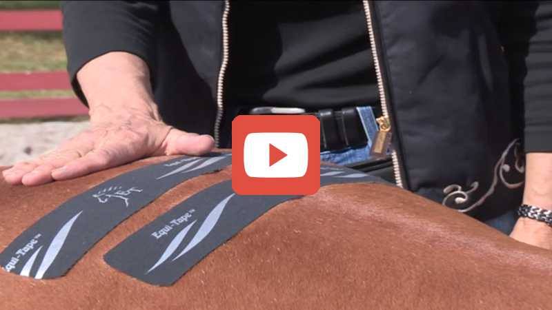 Sacroiliac Instability & Joint Support Taping - The Horse in Motion