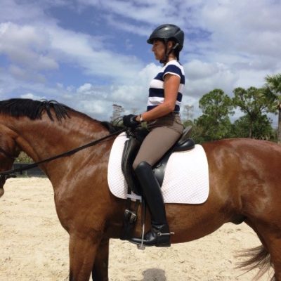 The Perfect Sitting Trot - The Horse in Motion